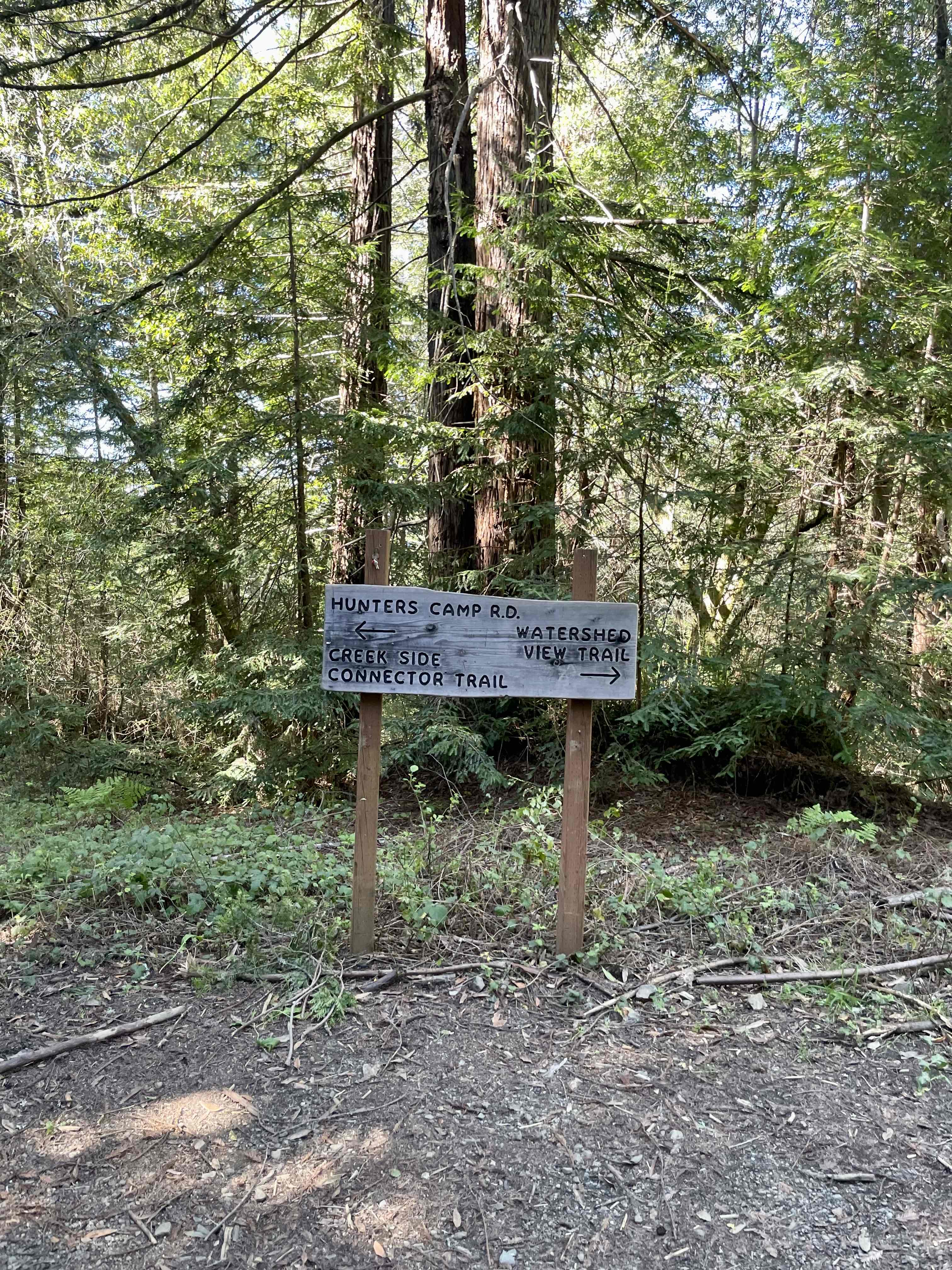 Hunters Camp and Creekside Loop, Occidental, California