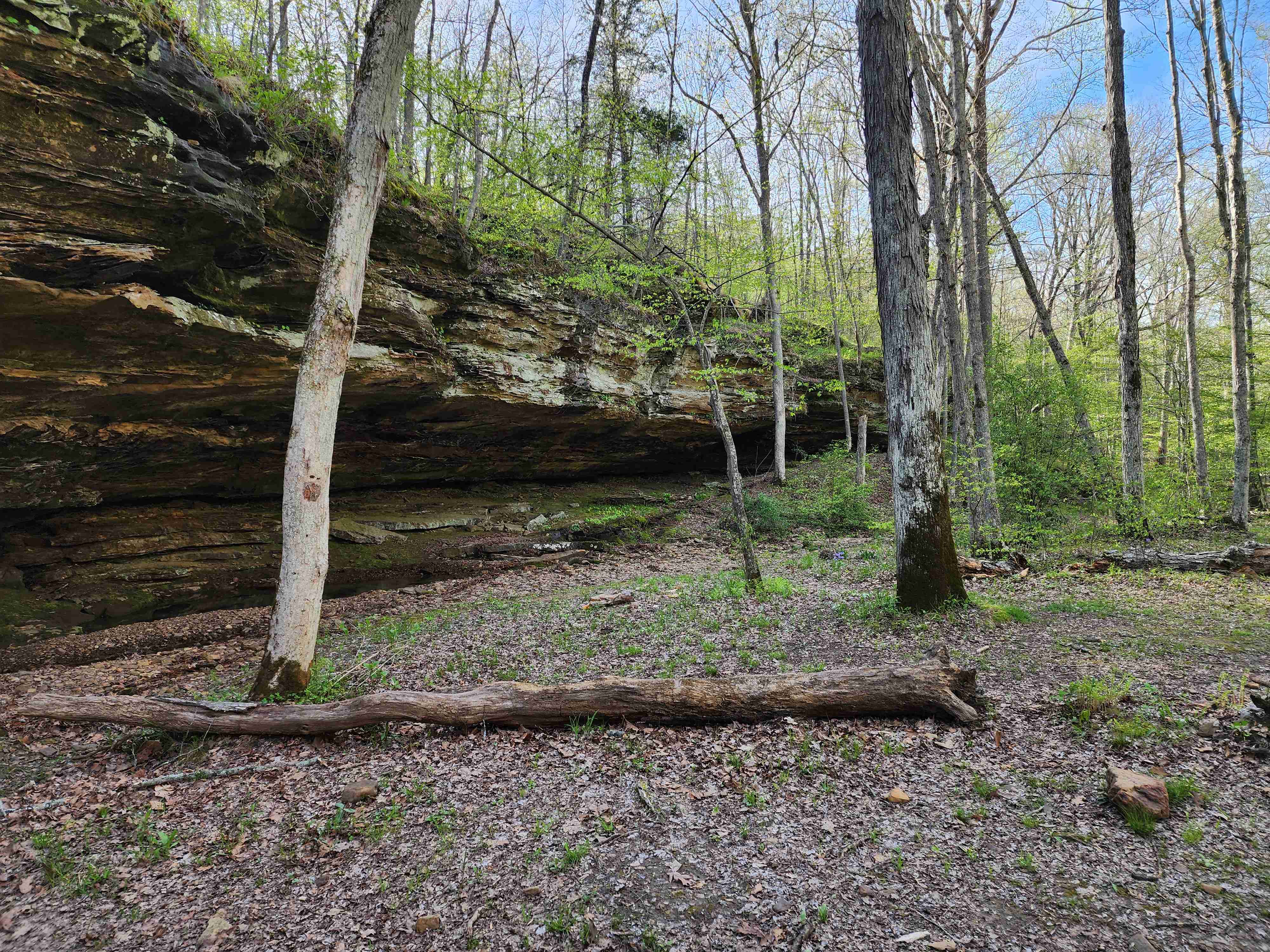 Panther Den Loop, Makanda, Illinois
