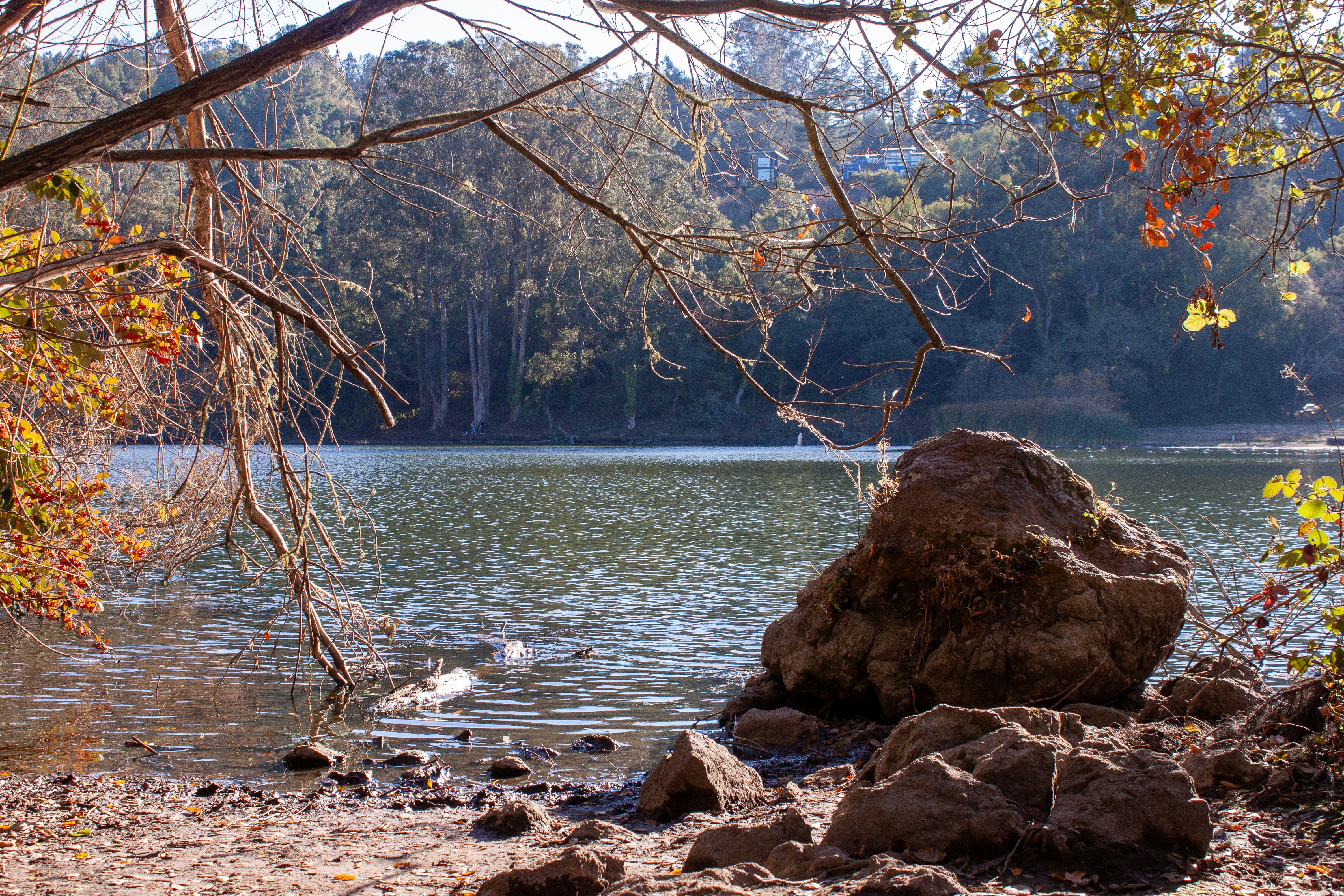 Lake Anza in Tilden Park, Berkeley, California