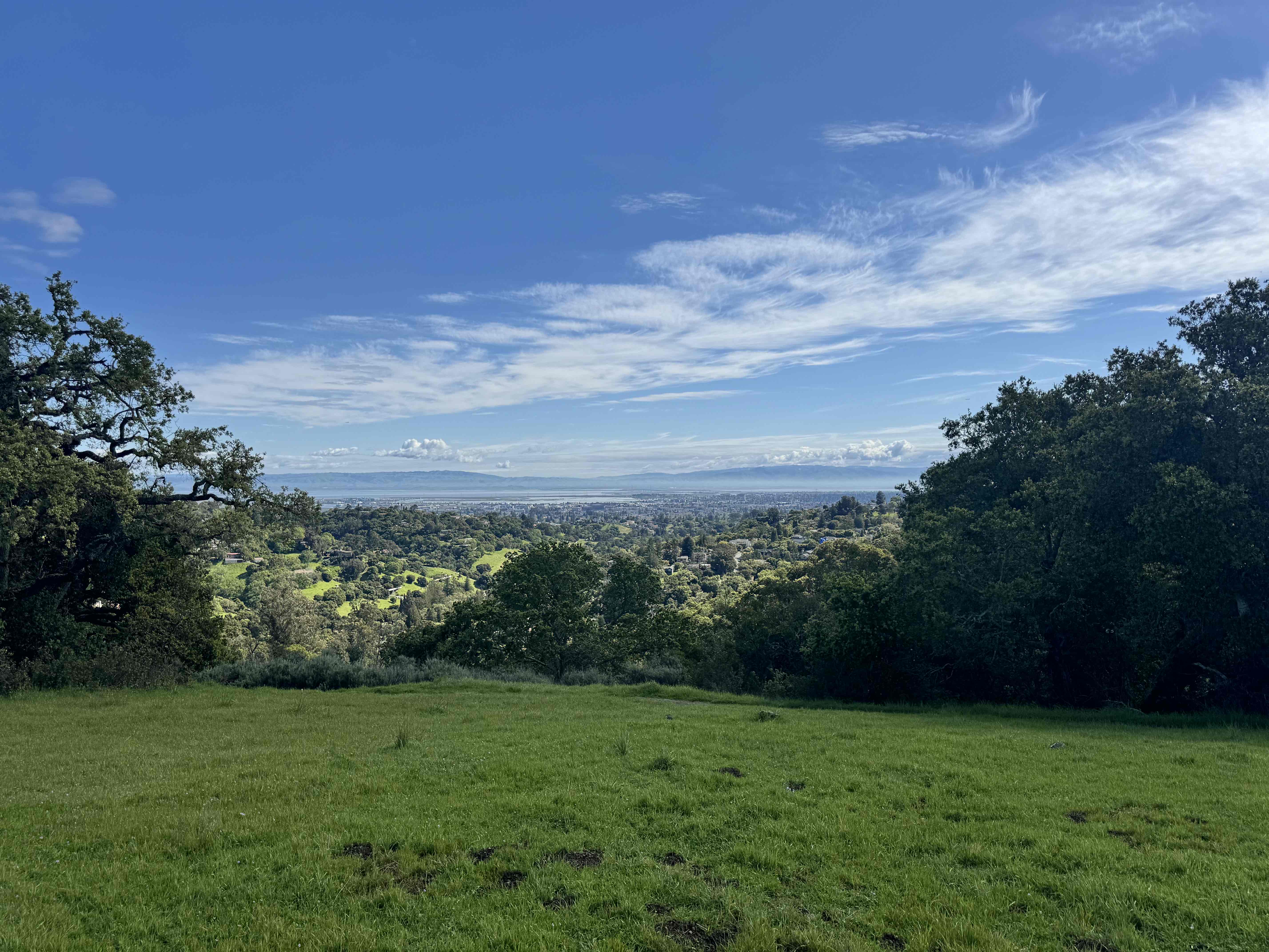 Edgewood Loop, Emerald Hills, California