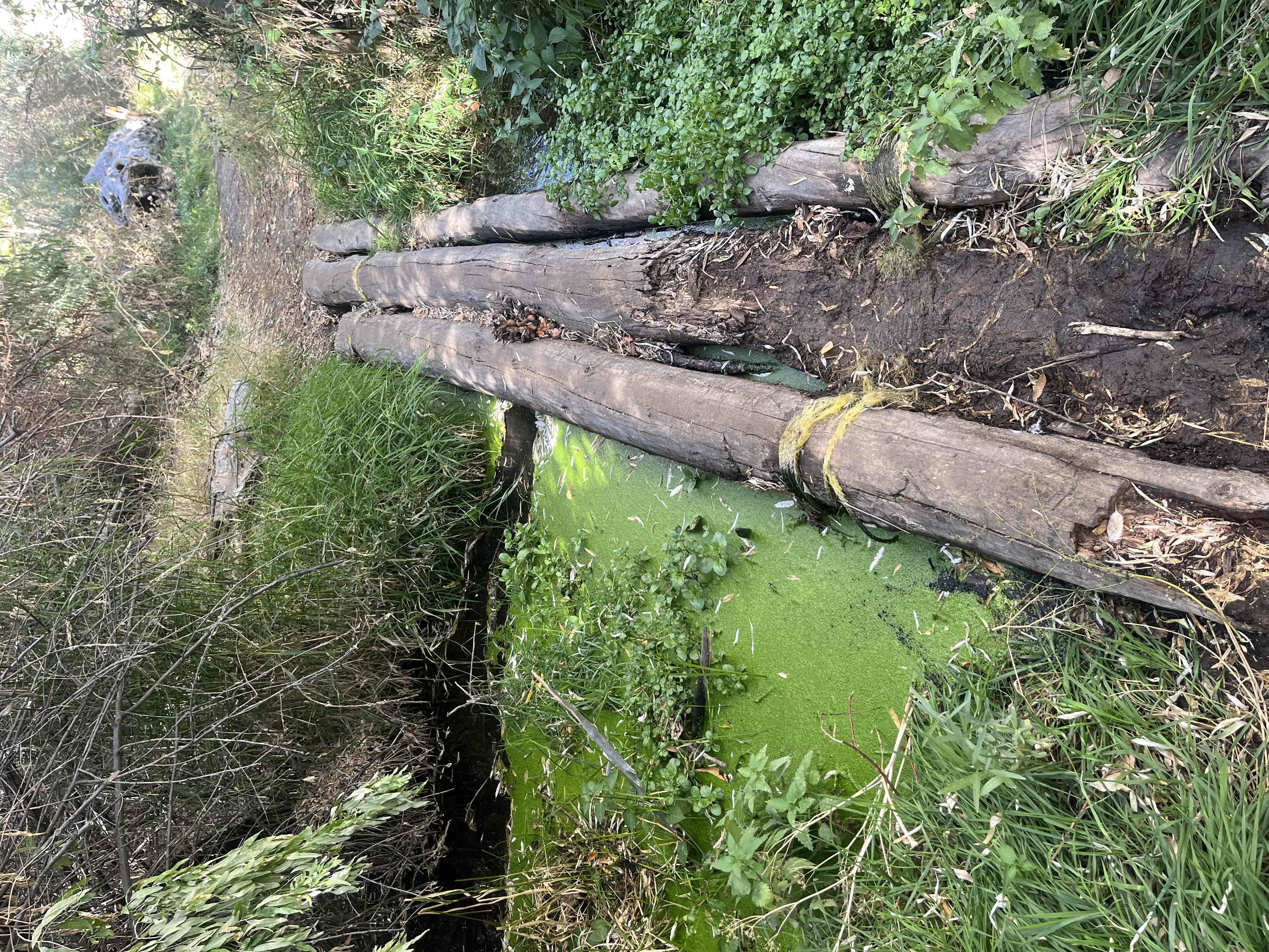 Oxbow Nature Study Area Nature Trail, Reno, Nevada