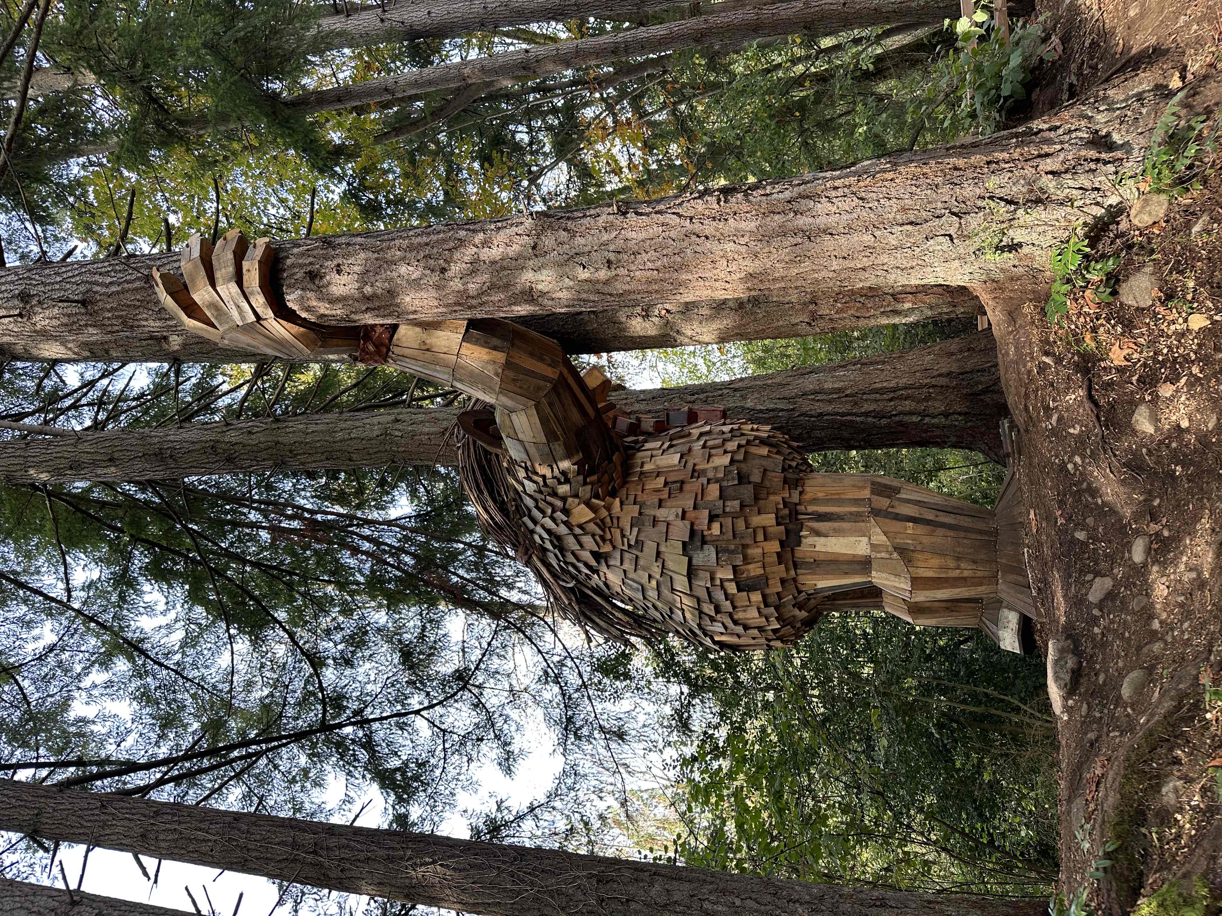 Photos: Jakob Two Trees, Issaquah, Washington