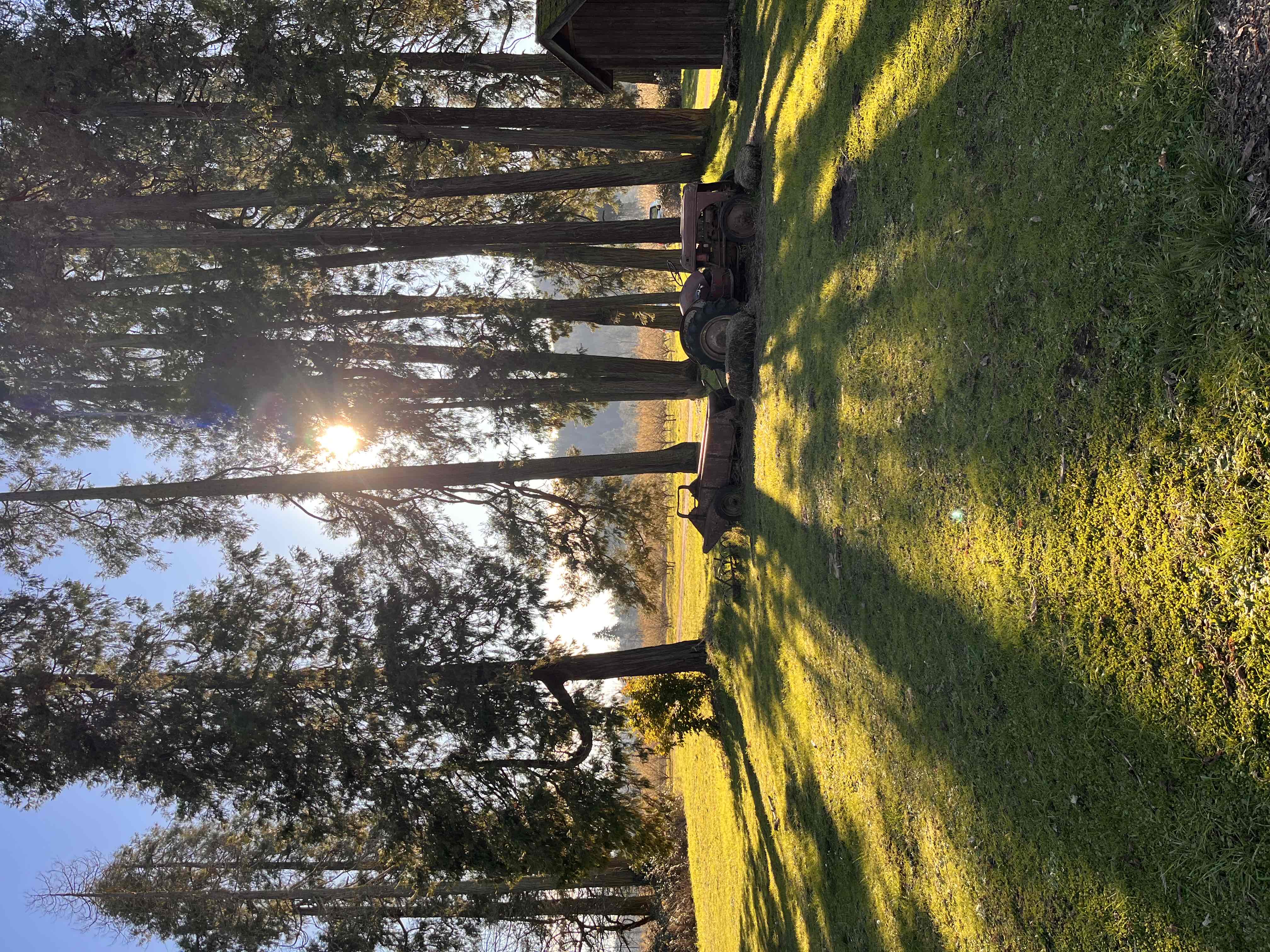 Dorris Ranch Loop Trail, Springfield, Oregon