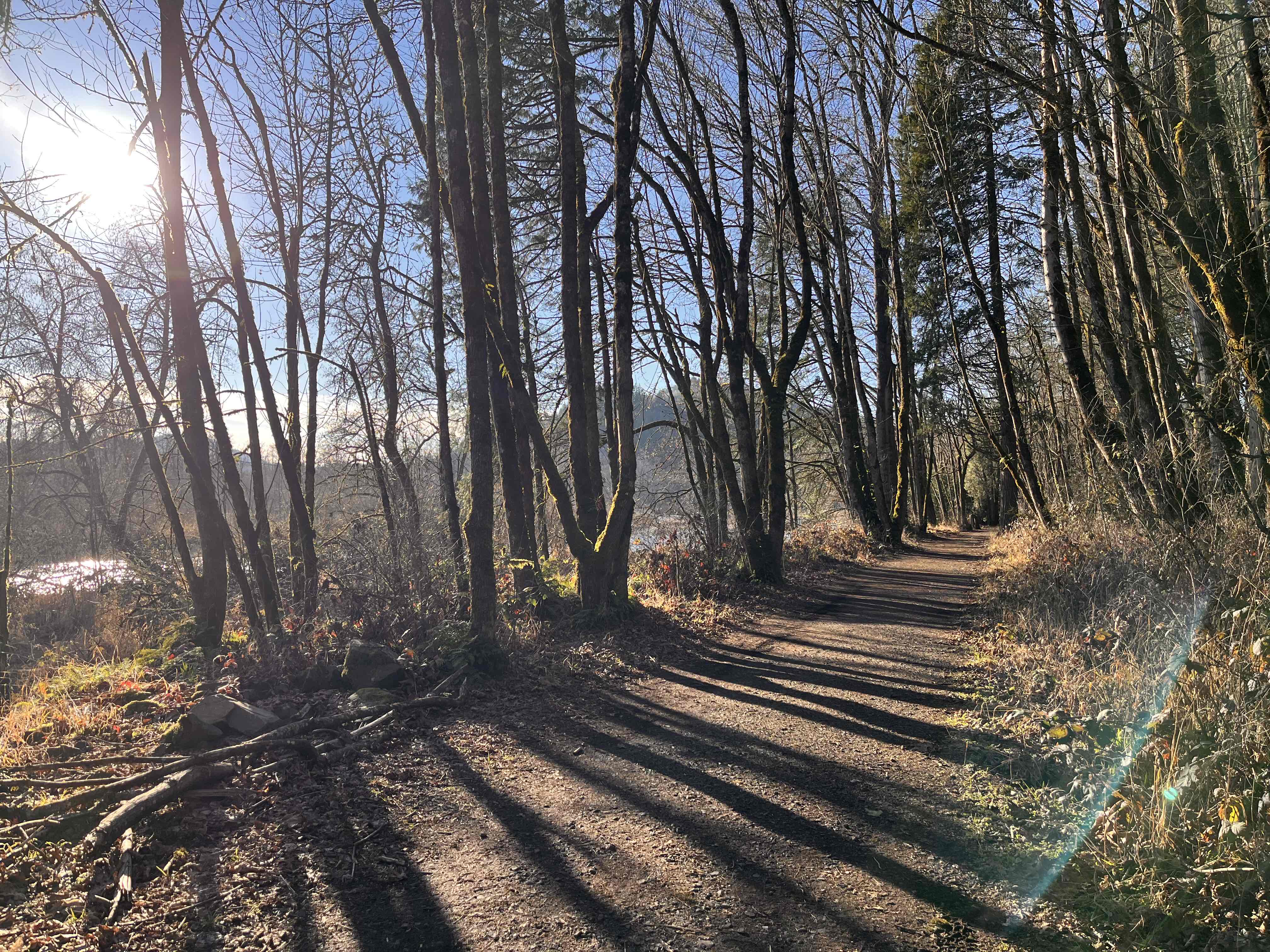 Photo of Dorris Ranch Loop Trail