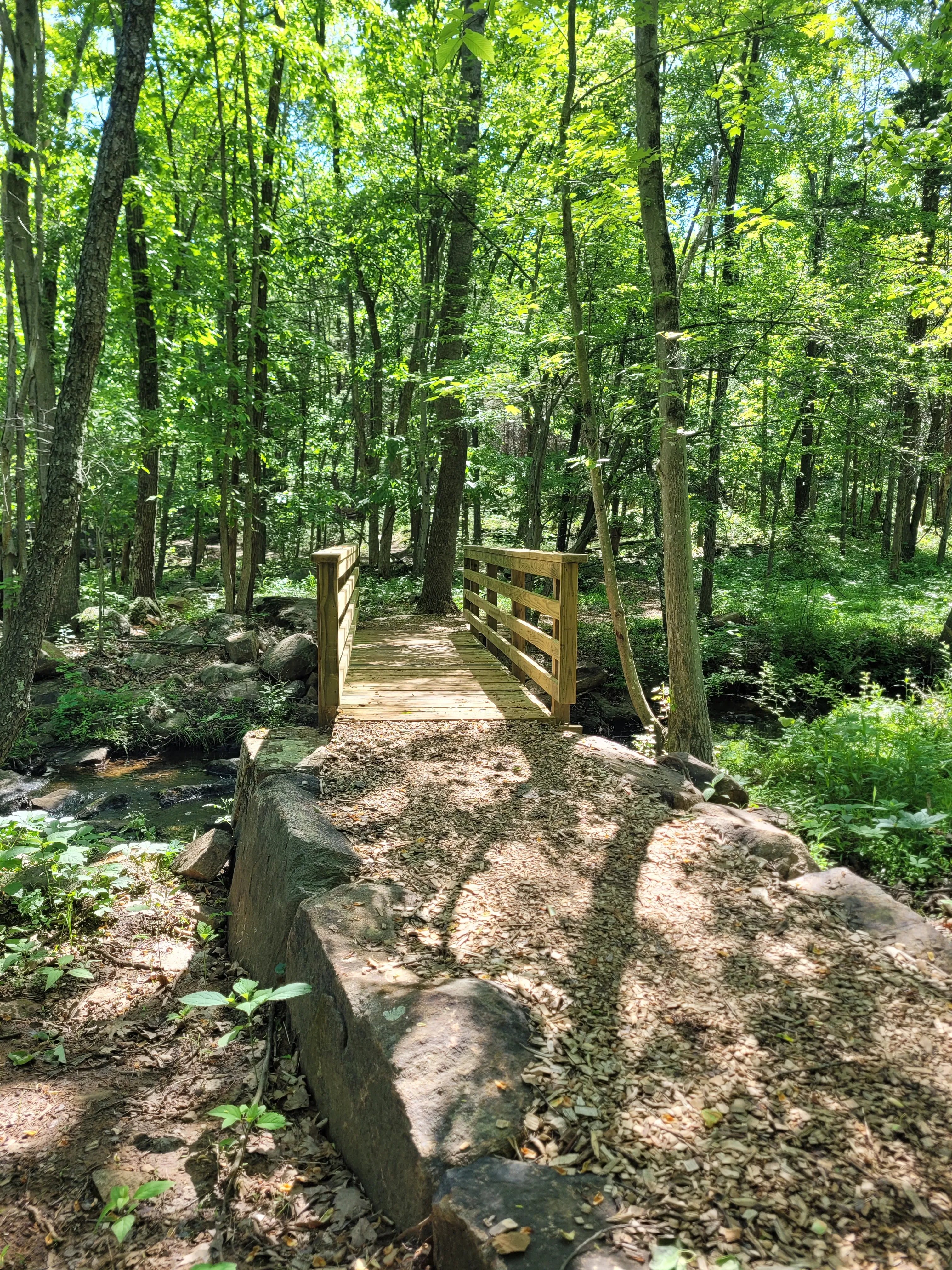 The best Trails and Outdoor Activities in and near Ashburn, Virginia