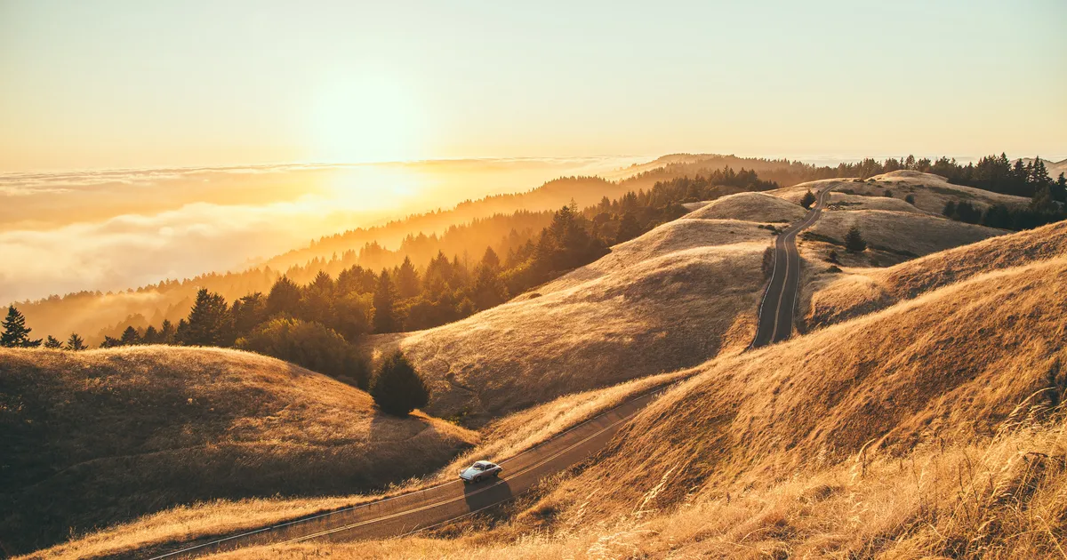 Hike to the Summit of Mt. Tamalpais, San Francisco