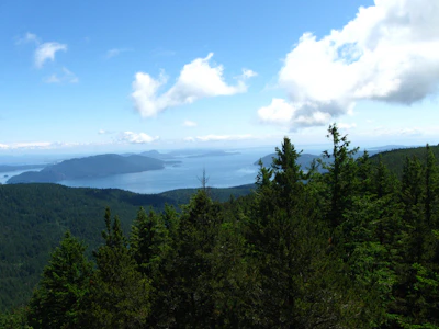 Hike to the Mount Constitution Summit, Summit to Cascade Lake Trail