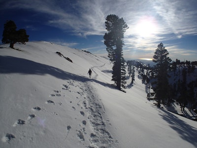 Summit Mt. Baldy, Bear Flat Trail