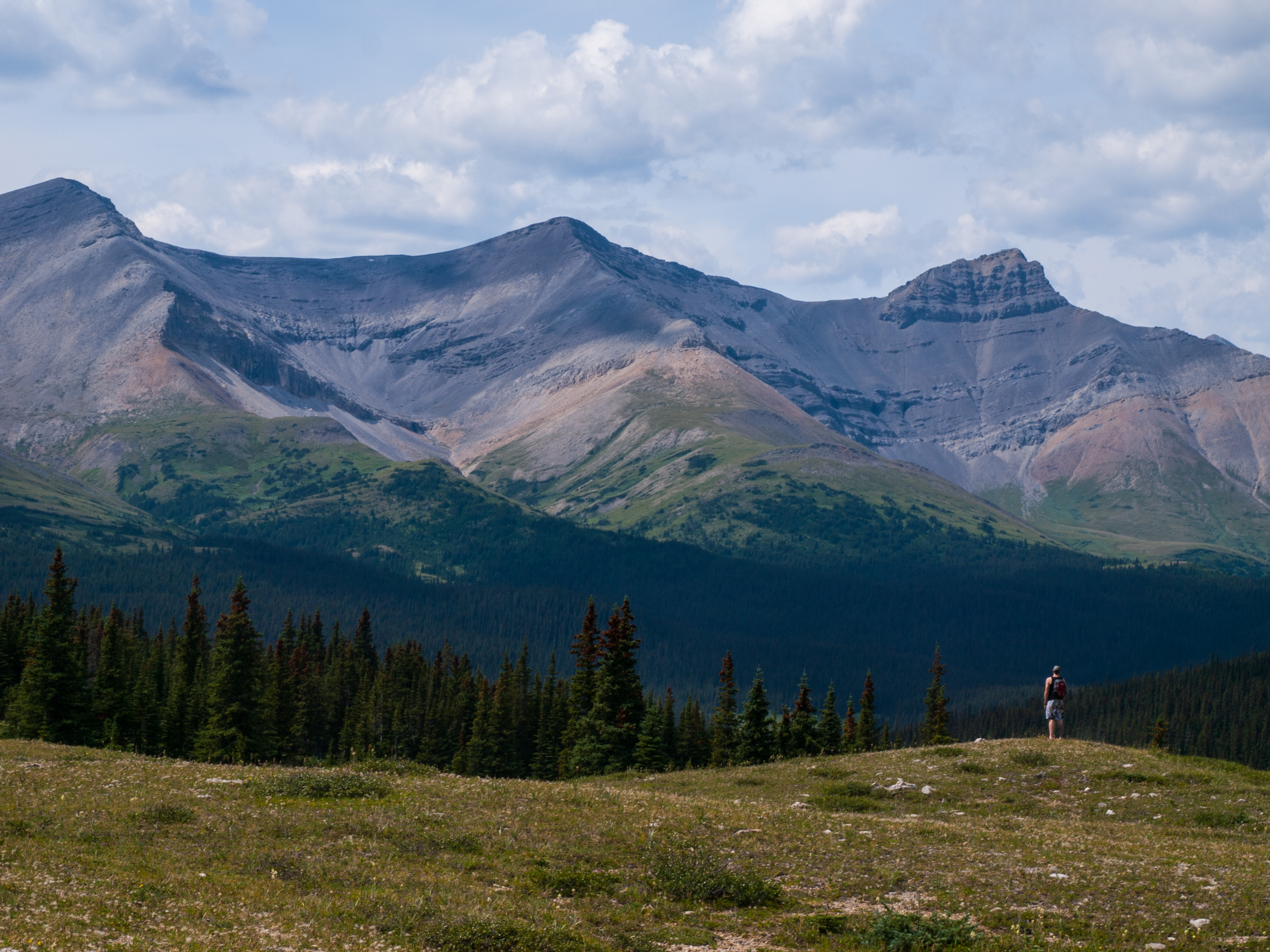 Cardinal Divide Ridge, Yellowhead County, Alberta