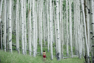 Trail Run in Lockett Meadow, Lockett Meadow