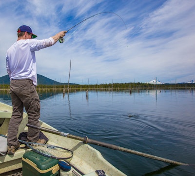 Camp and Fish at Crane Prairie Reservoir, Crane Prairie Reservoir