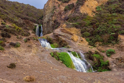 Hike to Alamere Falls, Palomarin Trailhead