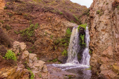 Hike to Alamere Falls, Palomarin Trailhead