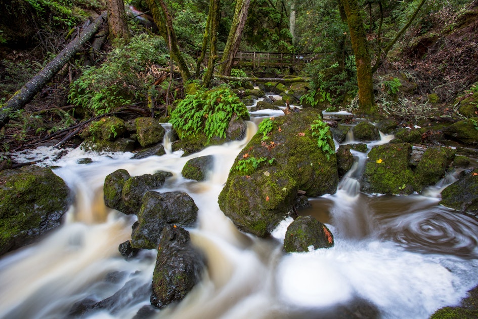 Hike Cataract Falls, Stinson Beach, California