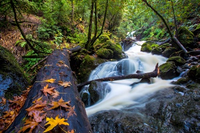 Hike Cataract Falls, Cataract Falls