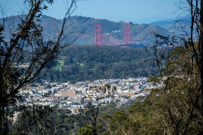 Hike Mt. Sutro Open Space Reserve, Mt. Sutro's Fairy Gates Trail