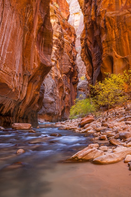 Hike the Narrows, Zion NP, Temple of Sinawava Trail