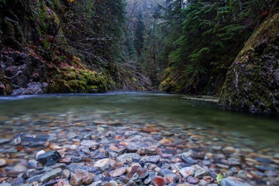 Hike to the Opal Creek Pools, Opal Creek Trail