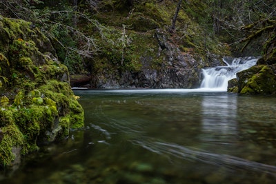 Hike to the Opal Creek Pools, Opal Creek Trail