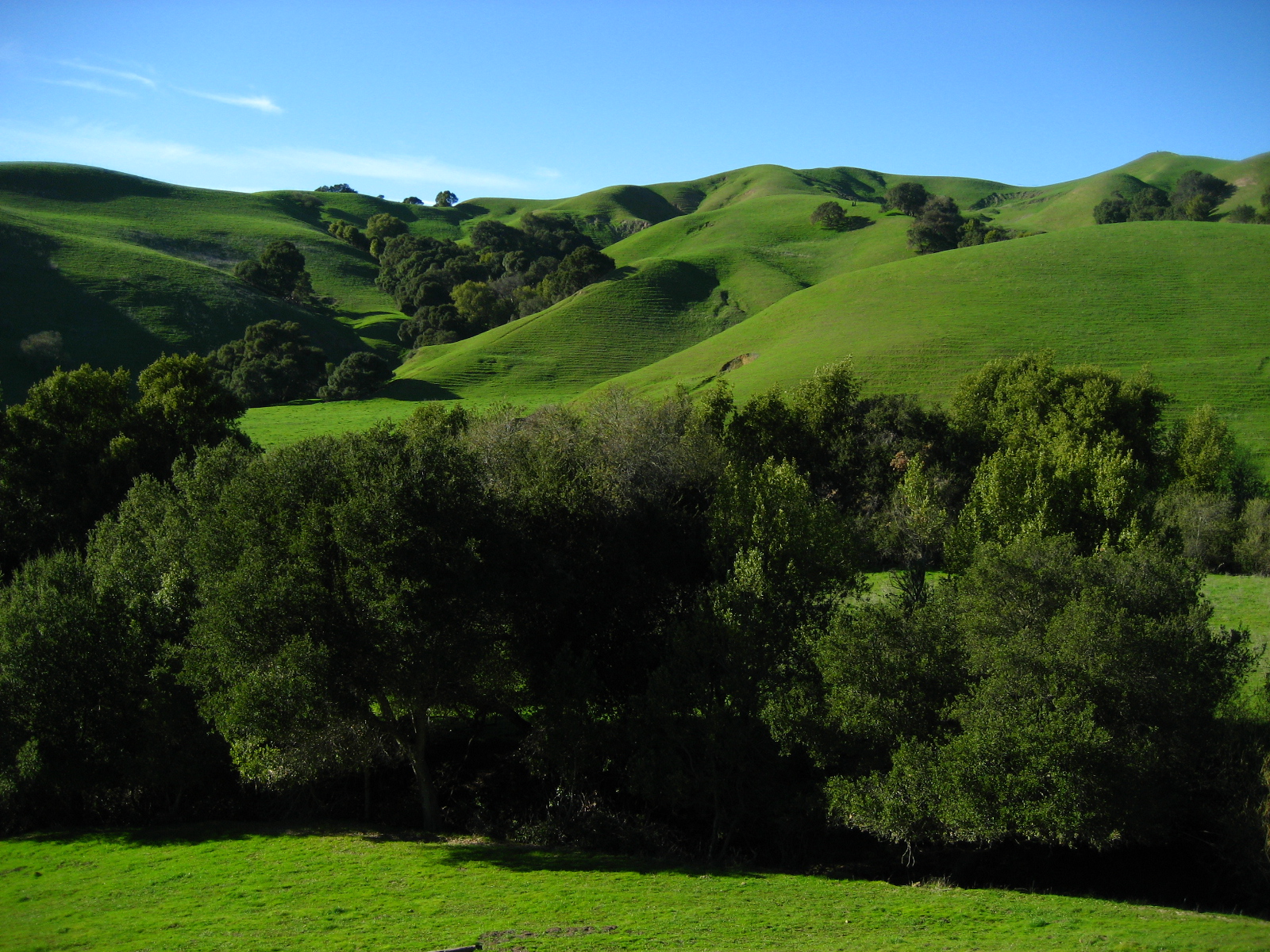 Briones Park's Lafayette Ridge , Lafayette, California