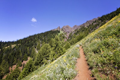 Hike to Klahhane Ridge (Switchback Route), Switchback Trail