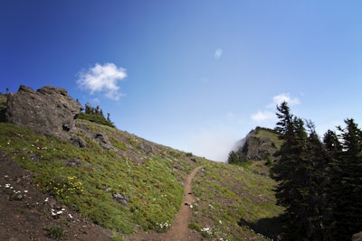 Hike to Klahhane Ridge (Switchback Route), Switchback Trail