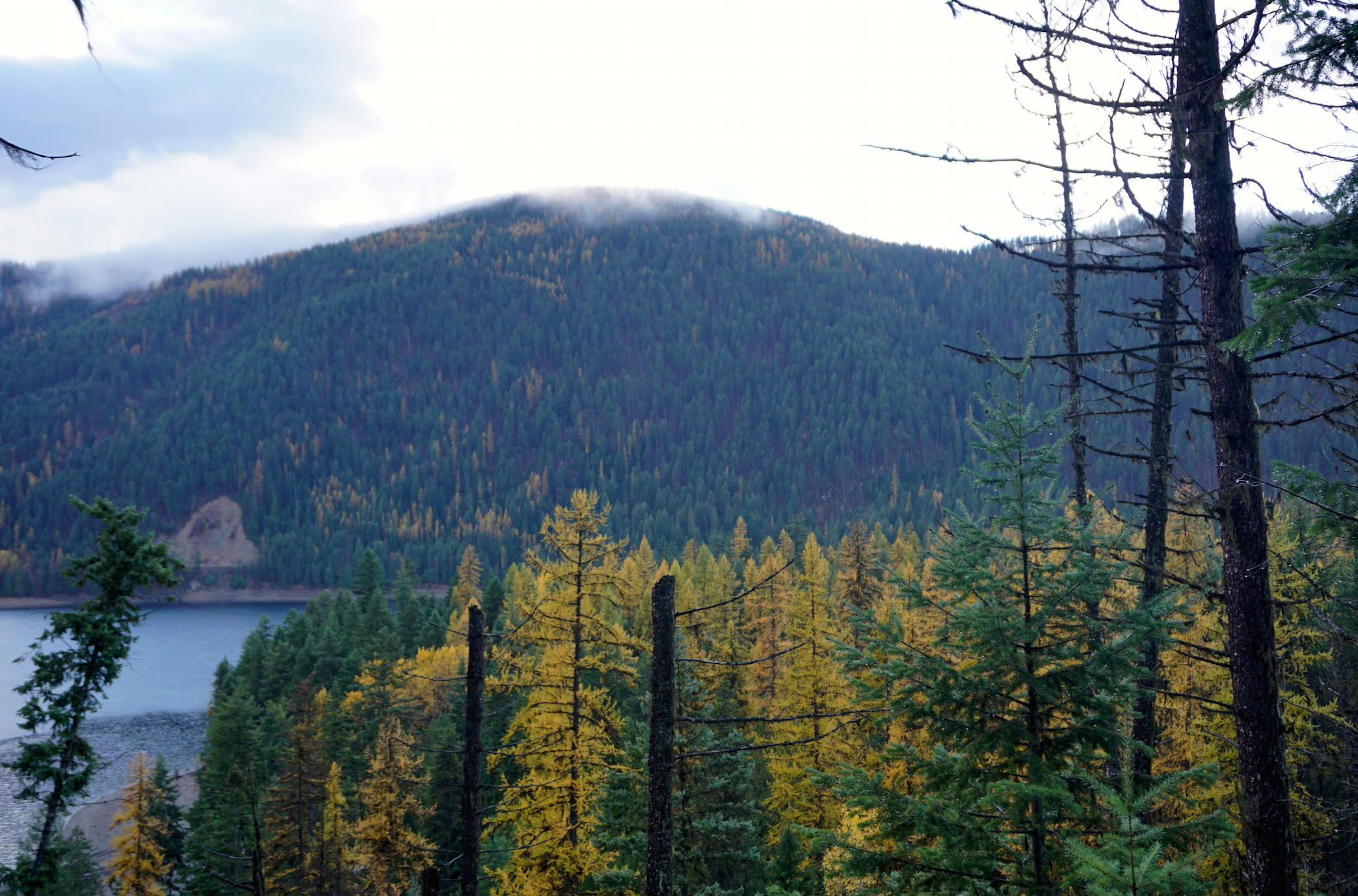 Hike along Sullivan Lake, Metaline Falls, Washington