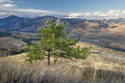 Hiking Patterson Mountain, Patterson Mountain Trail