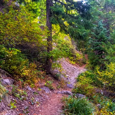 Hike to Dome Rock via the Upper Trailhead, Dome Rock Upper Trailhead
