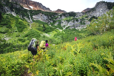 Backpack Spider Gap to Buck Creek Pass, Phelps Creek Trailhead