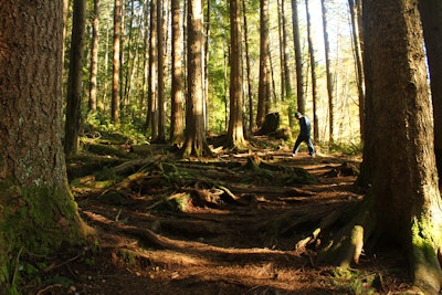 Hike to Poo Poo Point, Poo Poo Point Trailhead
