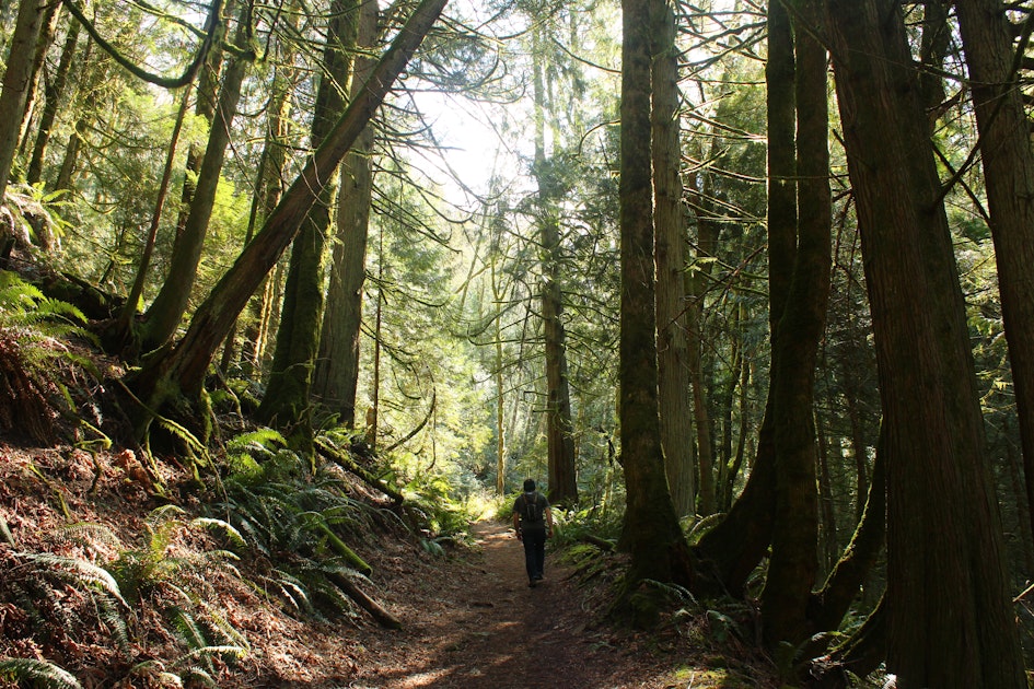 Hike to Poo Poo Point, Washington