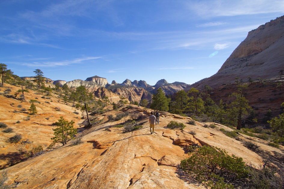 Hike Observation Point, East Mesa Trail Trailhead