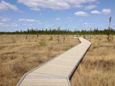 Walk the Big Bog Boardwalk, Big Bog Boardwalk