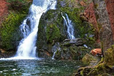 Hiking the Jenkinson Lake Loop Trail at Sly Park , Jenkinson Lake Loop ...
