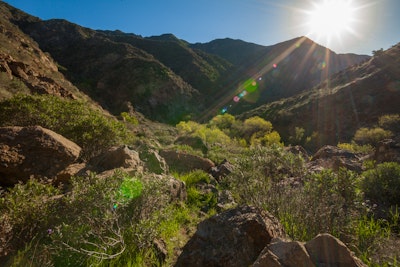Hiking the Piru Creek Gorge Trail, Piru Creek Trail