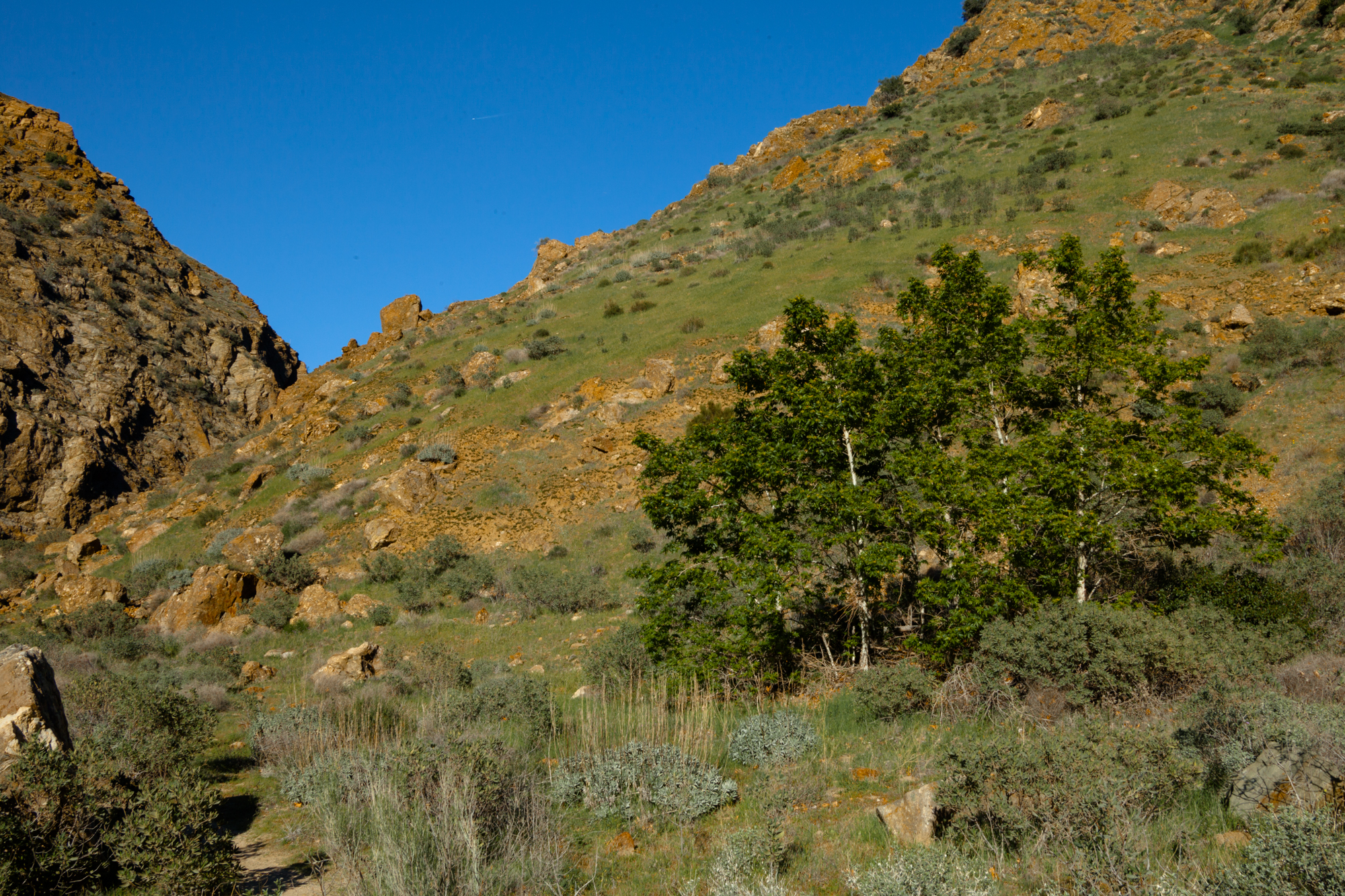 Photo of Hiking the Piru Creek Gorge Trail