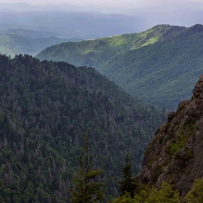 Hike Looking Glass Rock, Looking Glass Rock Trail