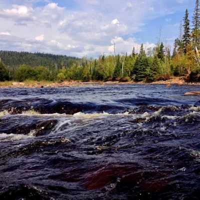 Hike Lookout Mountain Trail in Cascade River State Park , Superior ...