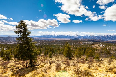 Off-Trail Hike of Limestone Ridge, Limestone Ridge