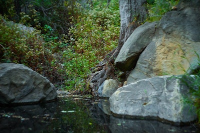 Hike the West Fork of Cold Spring, W. Fork Cold Spring Trail