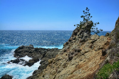 Explore The Hidden Rock Caves At Partington Cove , Partington Cove trail