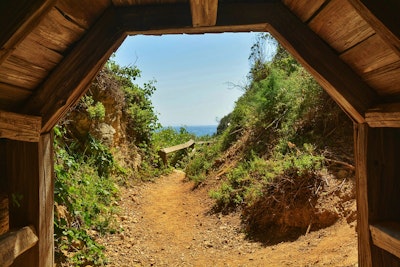 Explore The Hidden Rock Caves At Partington Cove , Partington Cove trail