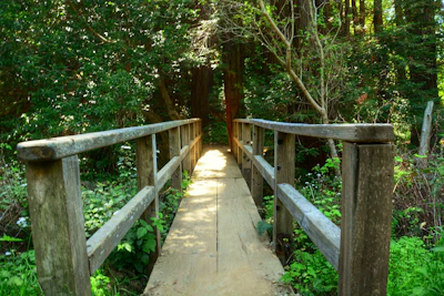 Explore The Hidden Rock Caves At Partington Cove , Partington Cove trail