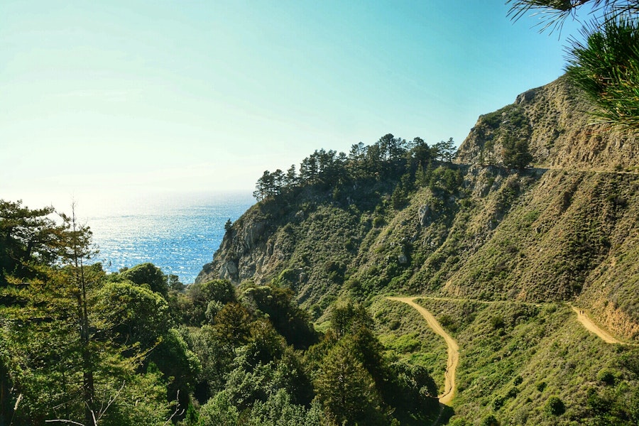 The Outbound Collective