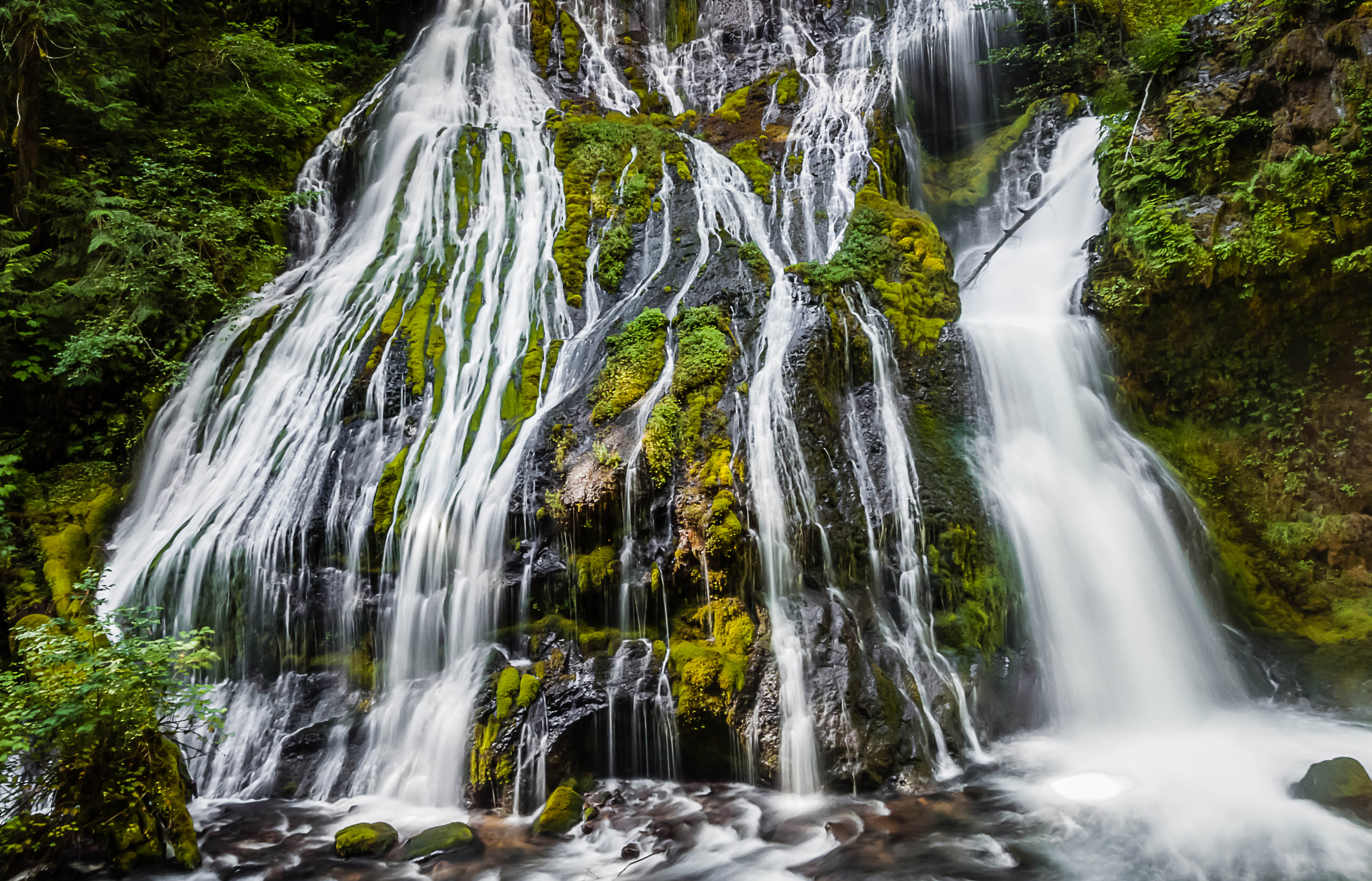 Hike to Panther Creek Falls, Carson, Washington