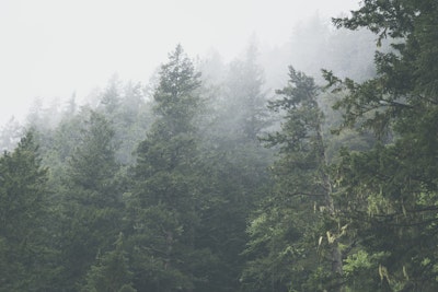 Hike to Lindeman & Greendrop Lakes, Lindeman Lake Trailhead