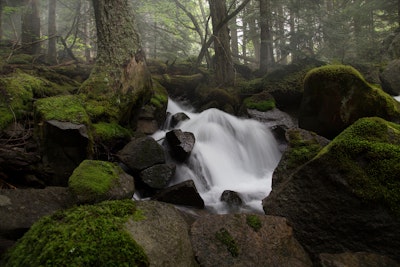 Hike to Lindeman & Greendrop Lakes, Lindeman Lake Trailhead