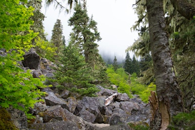 Hike to Lindeman & Greendrop Lakes, Lindeman Lake Trailhead