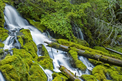 Hike to Clearwater Falls, Clearwater Falls Parking Area